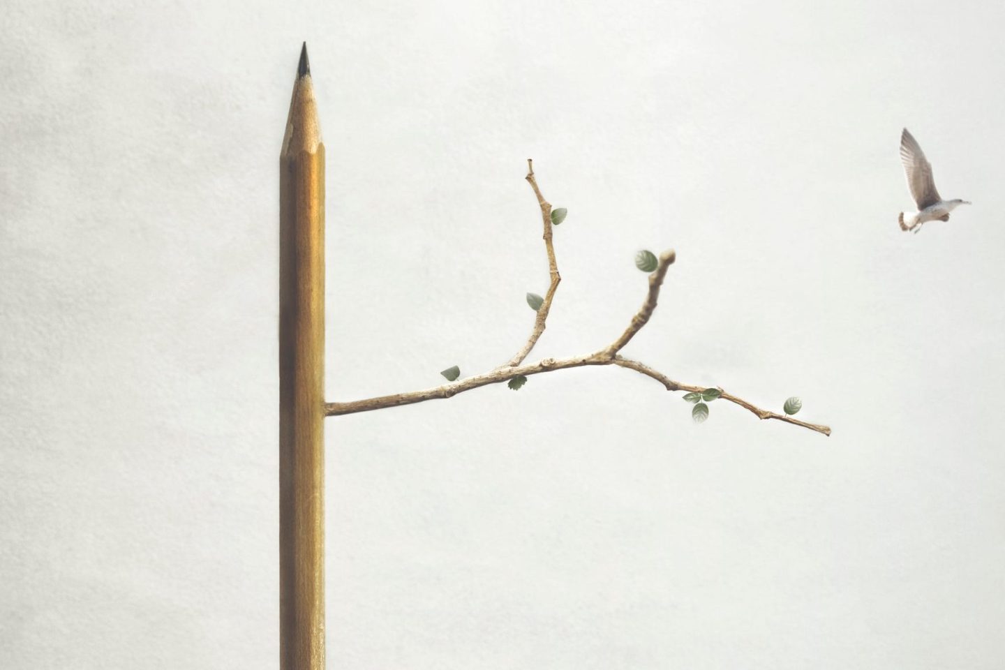 What the Quiet Makes Louder – The Pencil-Driven Life